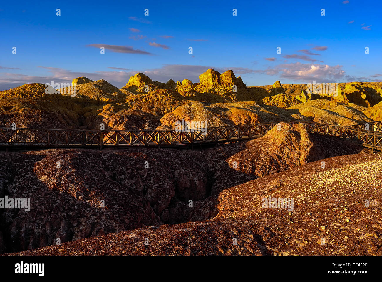 Colorful beach scenery Stock Photo - Alamy