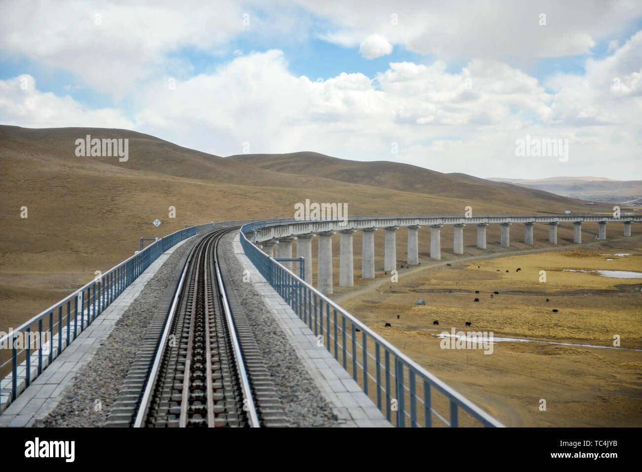 Tibet sky train hi-res stock photography and images - Alamy