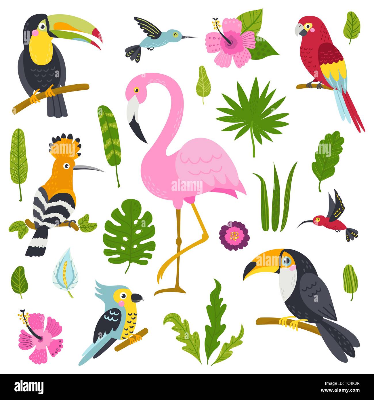 Jungle Elements Vector