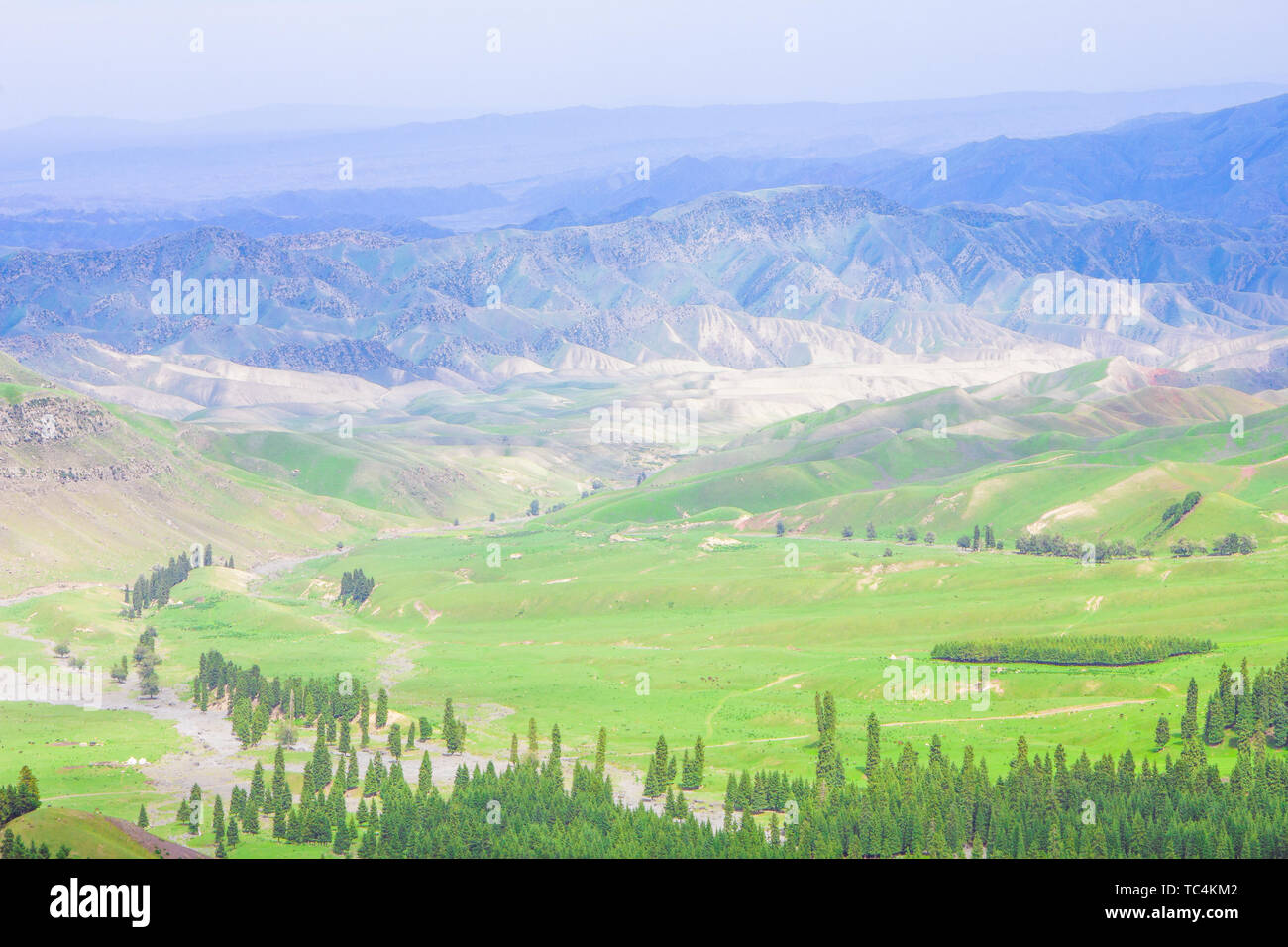 In summer, the prairie under Tianshan Mountain Stock Photo - Alamy