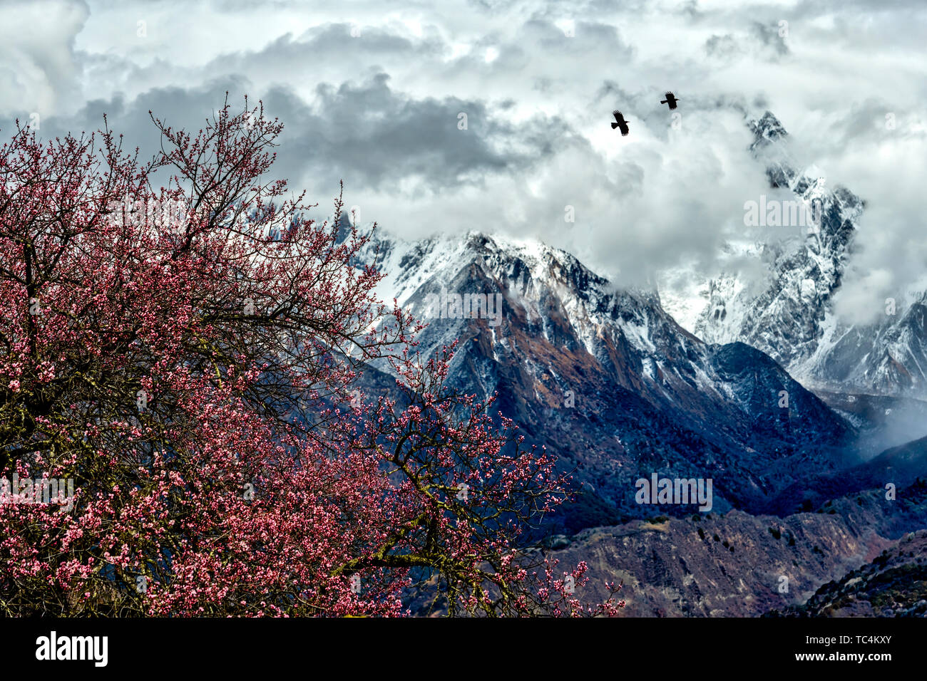Landscape, mountains, sky, nature, snow, tourism, outdoors, trees ...