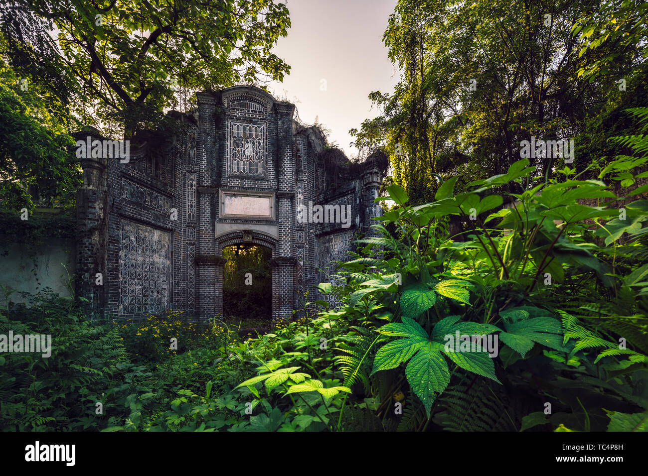 Fangfang hi-res stock photography and images - Alamy