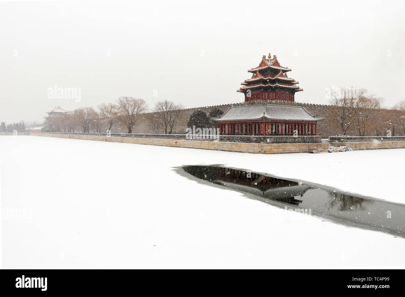 The first snow in Beijing in 2019, pictured at the National Palace ...