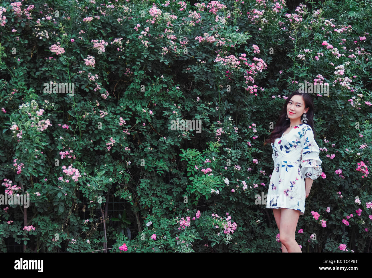 The rose figures Stock Photo - Alamy