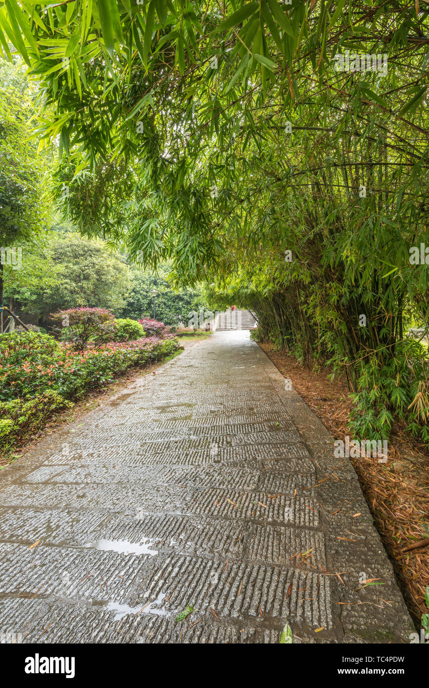 Changsha Park Trail in China on a cloudy and rainy day in autumn Stock ...