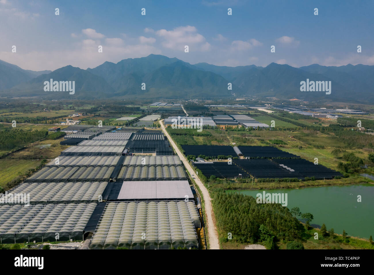 Large scale tree planting hi-res stock photography and images - Alamy