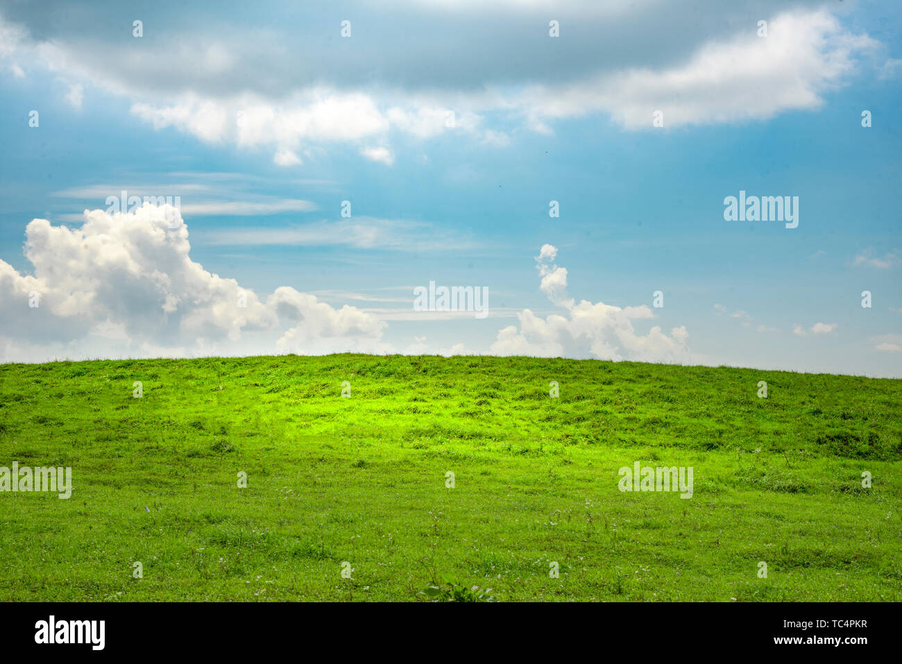 Blue sky, white clouds, green grass Stock Photo - Alamy