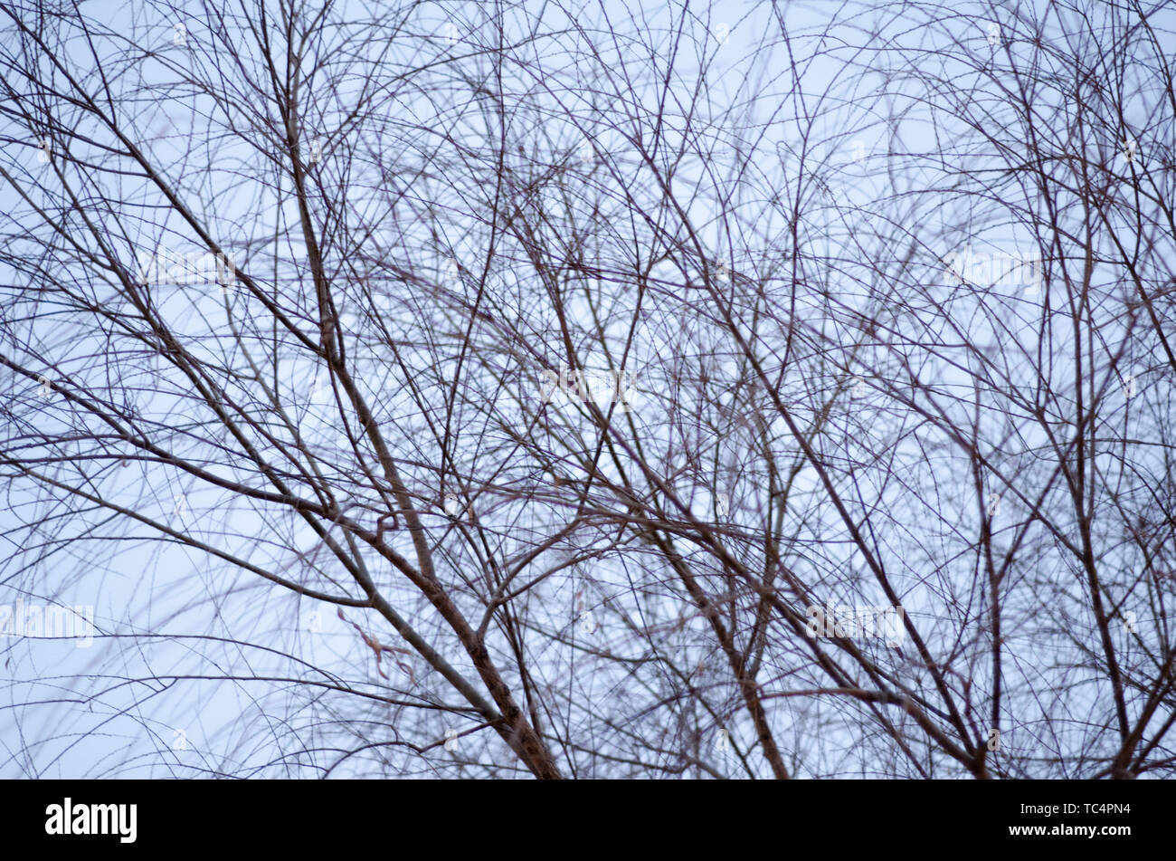 Cluttered landscape hi-res stock photography and images - Alamy