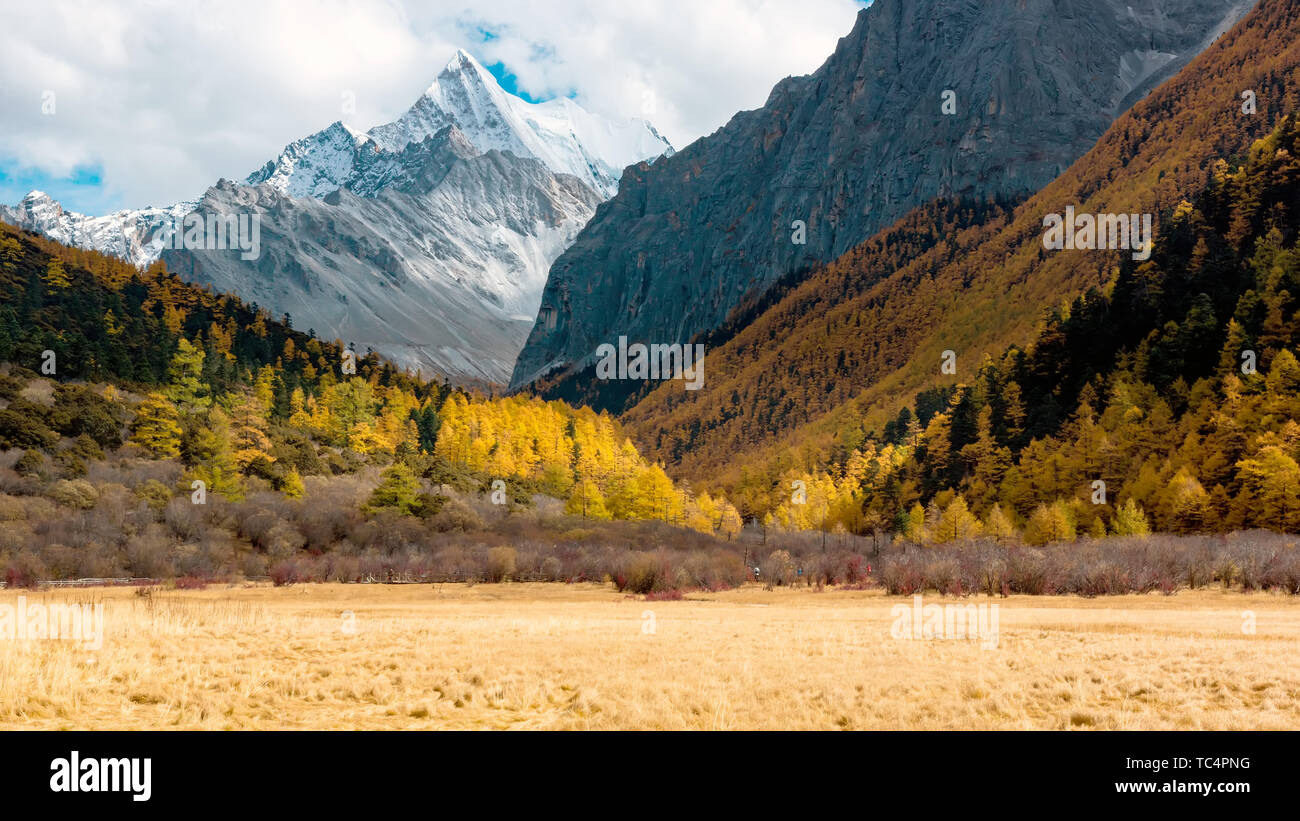 Rice City Of Aden High Resolution Stock Photography and Images - Alamy