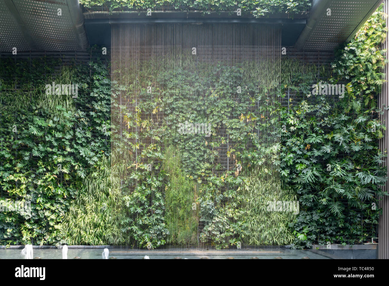 Ocean going taikuri hi-res stock photography and images - Alamy