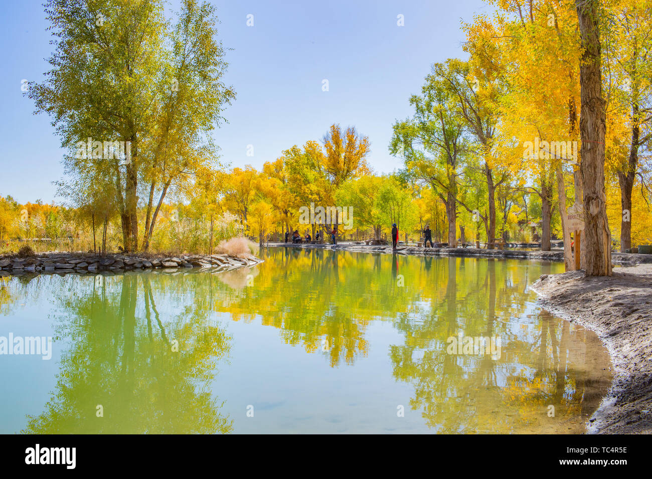 Jinta Hu Yang Lin Stock Photo - Alamy