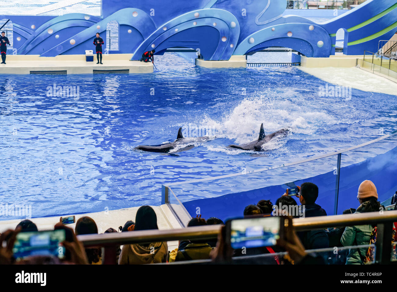 Luxury swimming pool shanghai hi-res stock photography and images - Alamy