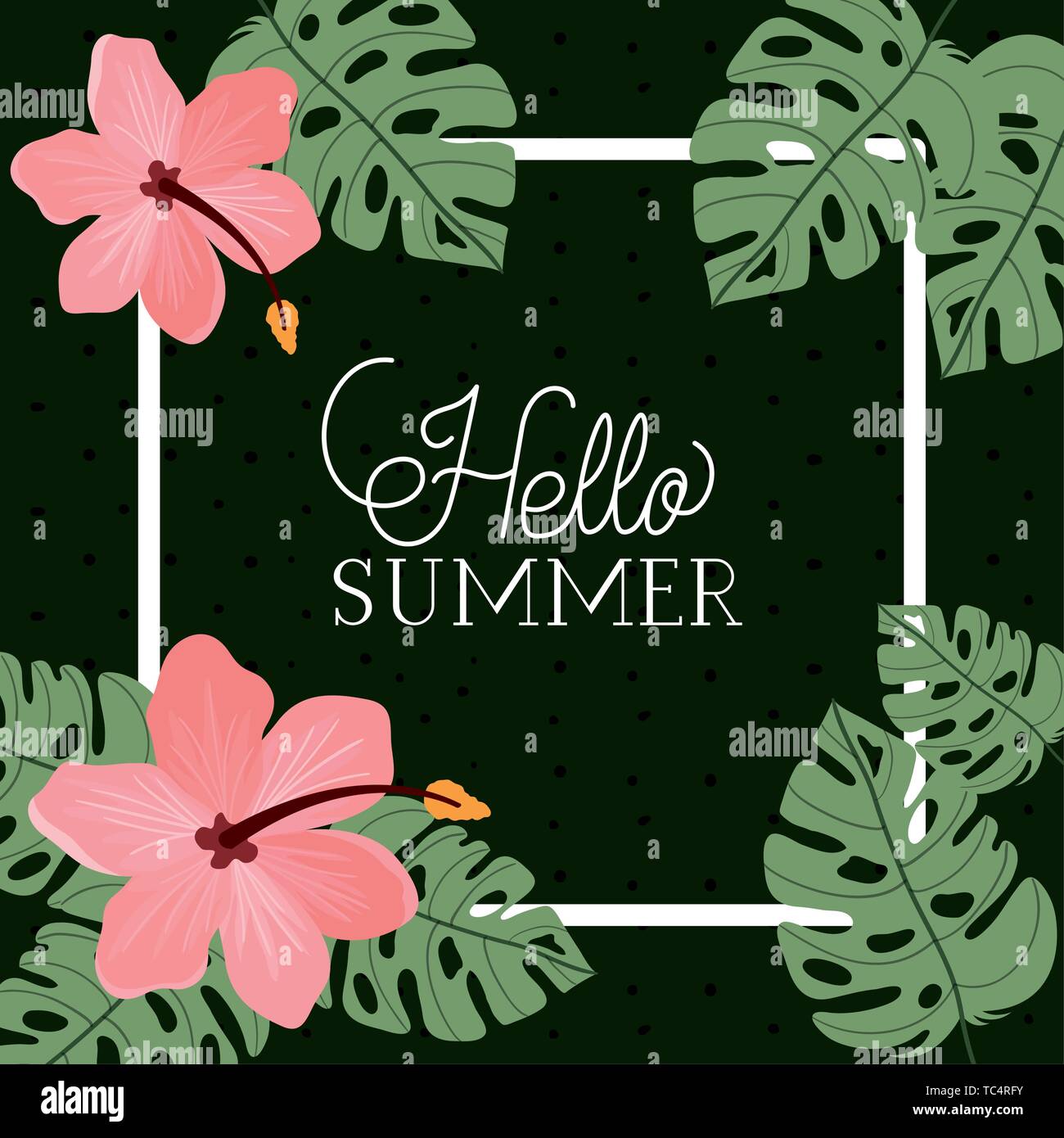 Hello summer and vacation frame design Stock Vector Image & Art - Alamy