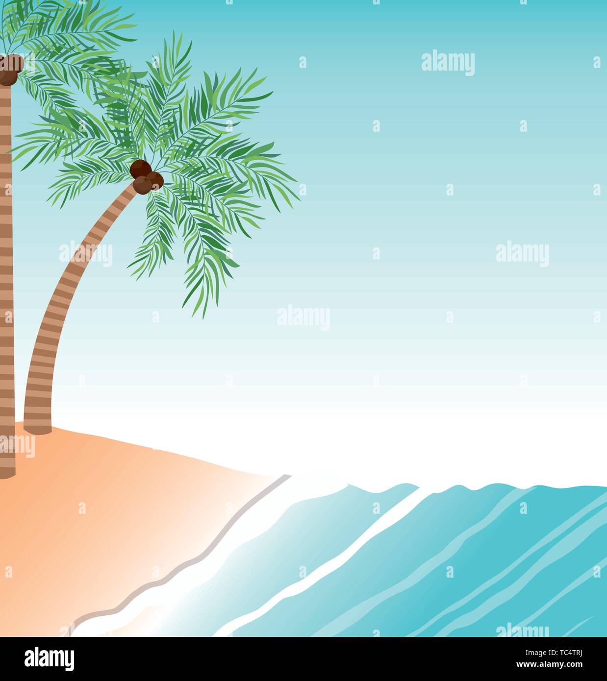 Palm tree of summer season design Stock Vector Image & Art - Alamy