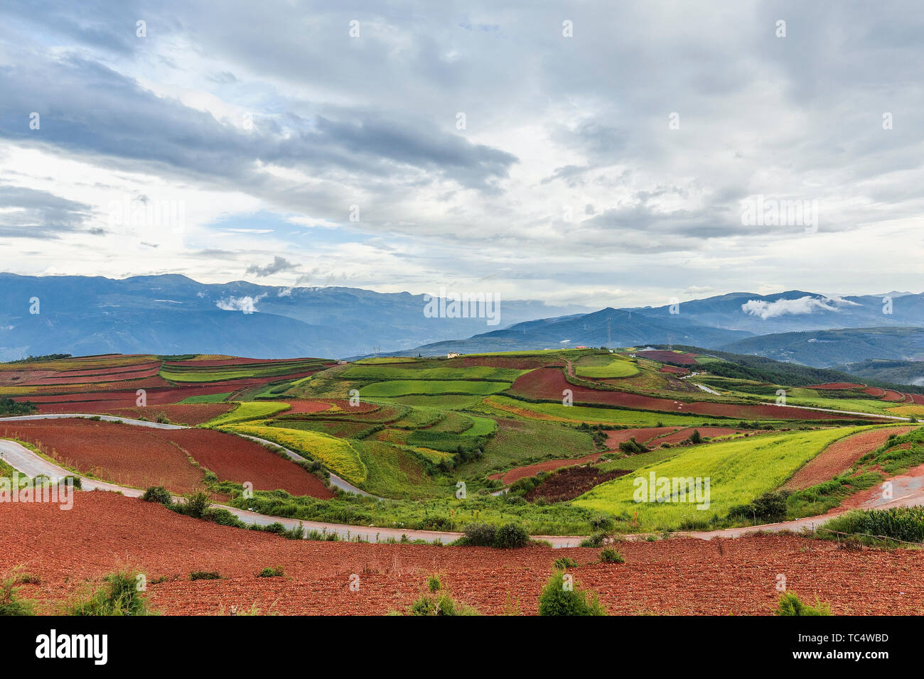 109 red hi-res stock photography and images - Alamy