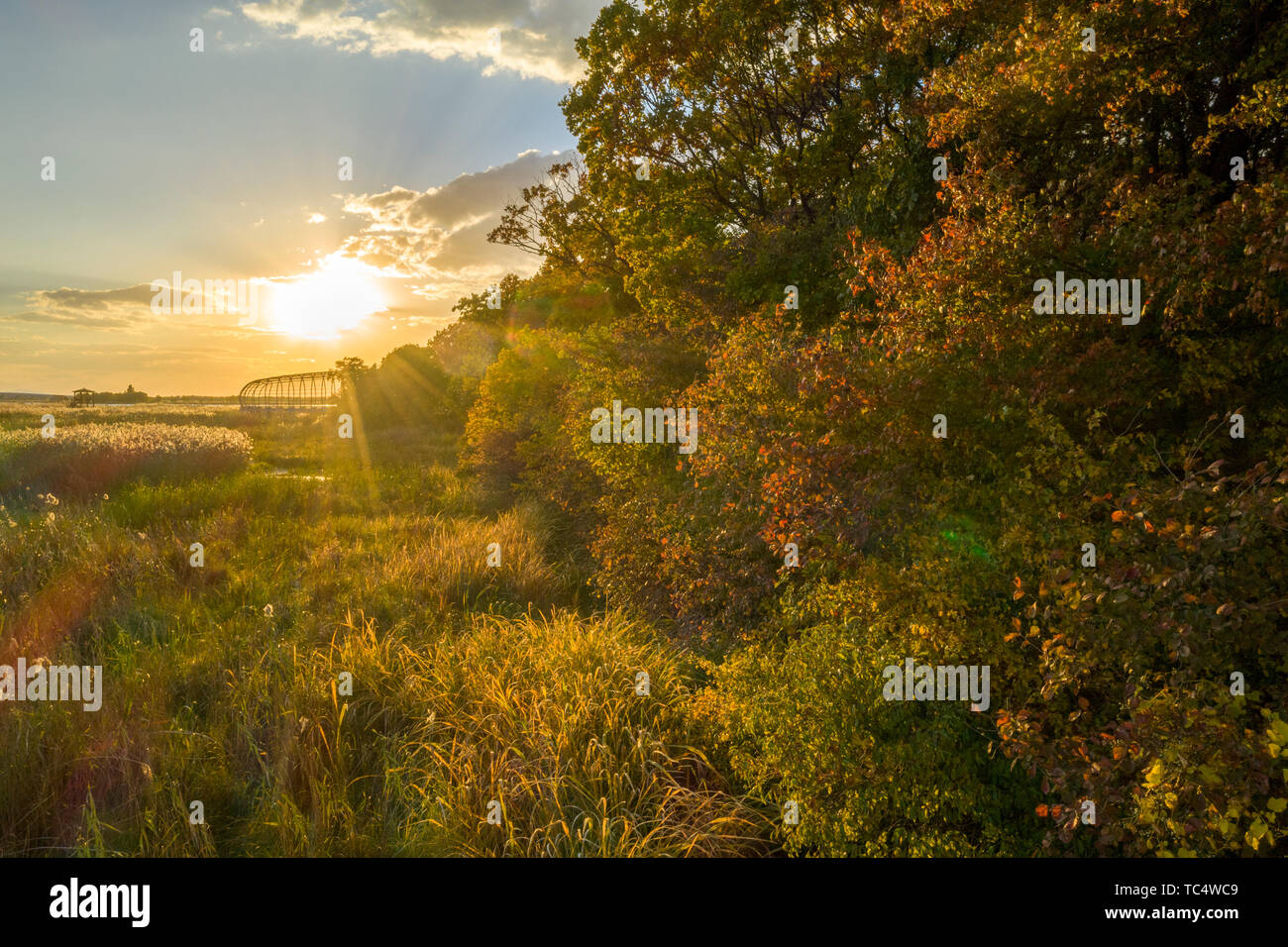 Sino-Russian border lake Xingkai lake autumn color Stock Photo - Alamy