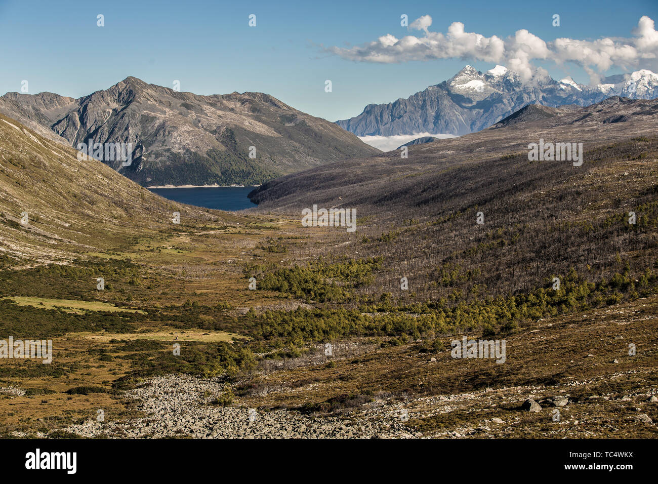 Kawanishi hi-res stock photography and images - Alamy