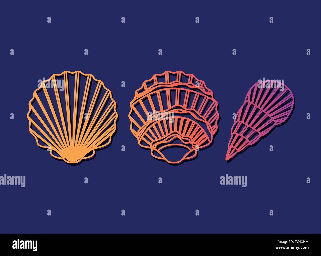 Three sea shells design vector illustration Stock Vector Image & Art ...