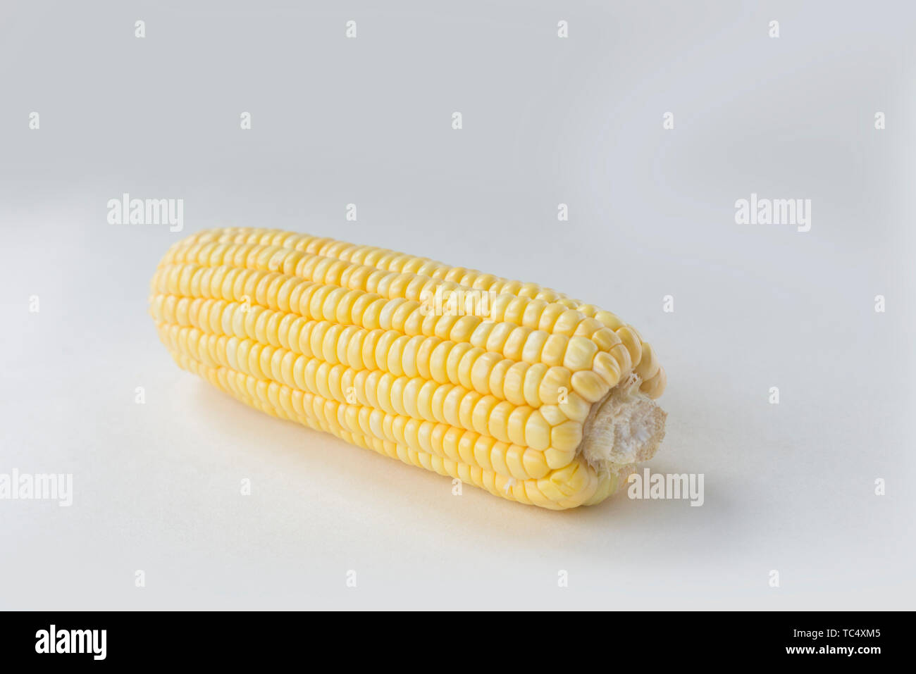 Corn Cross Section High Resolution Stock Photography and Images - Alamy