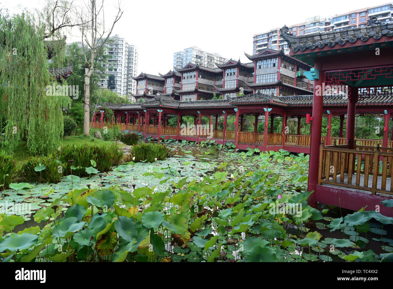 Antique architecture and lotus pavilion lotus Stock Photo - Alamy