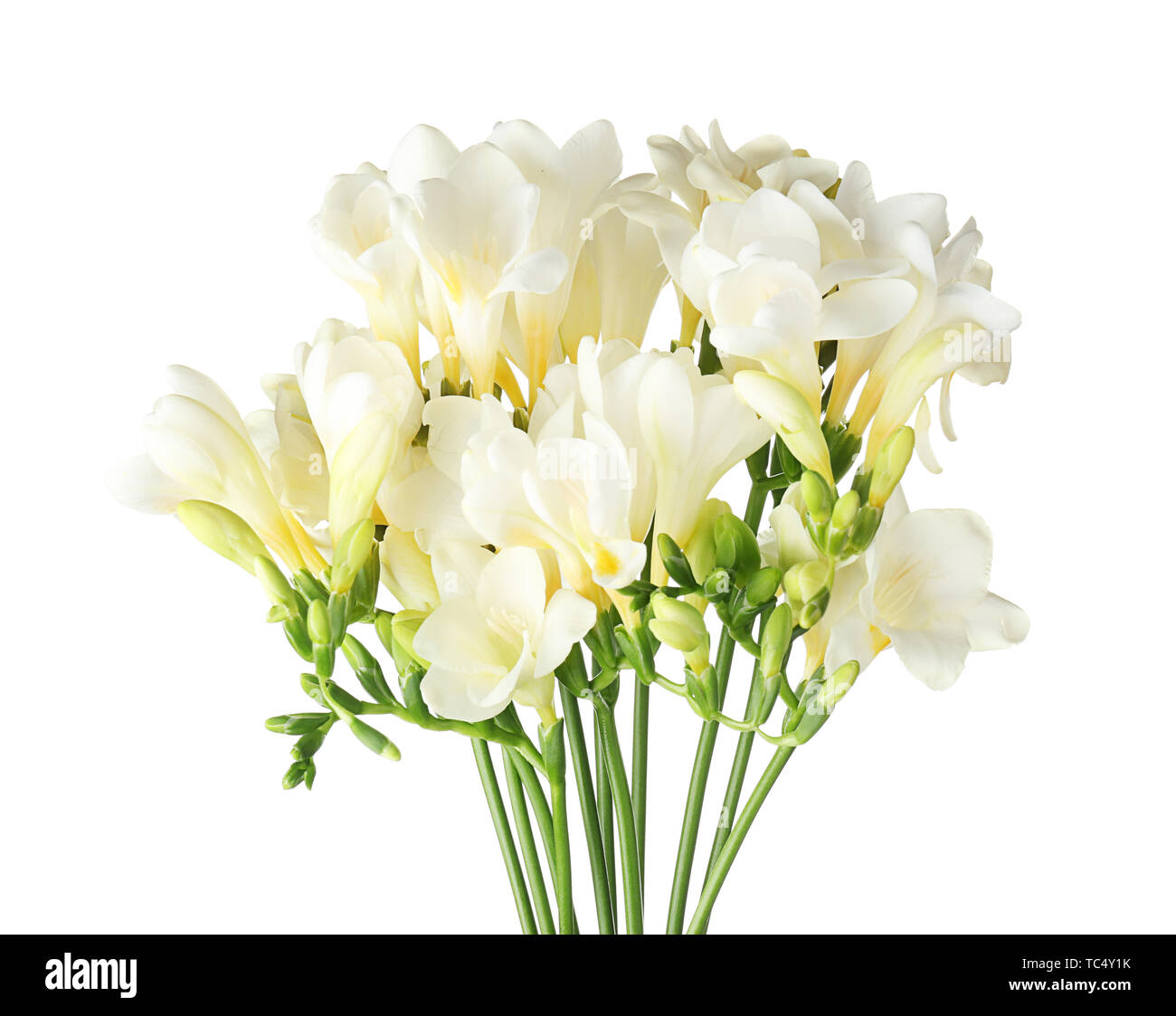 Beautiful freesia flowers on white background Stock Photo - Alamy