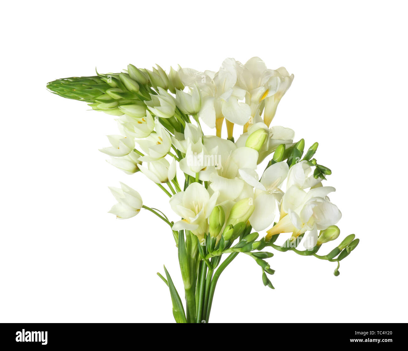 Beautiful freesia flowers on white background Stock Photo - Alamy