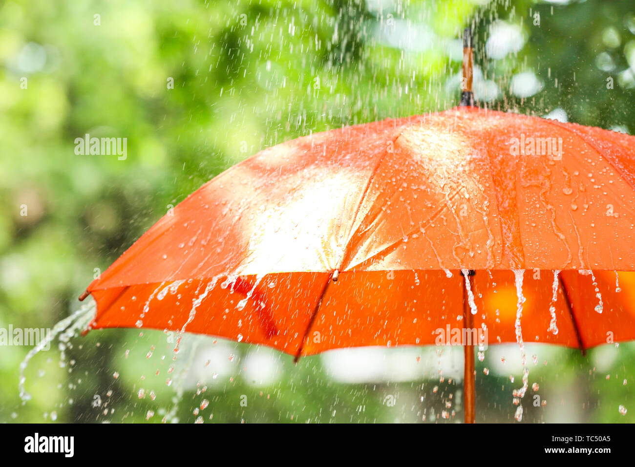 Bright umbrella outdoors on rainy day Stock Photo - Alamy