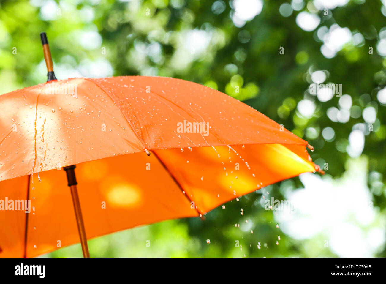 Bright umbrella outdoors on rainy day Stock Photo - Alamy