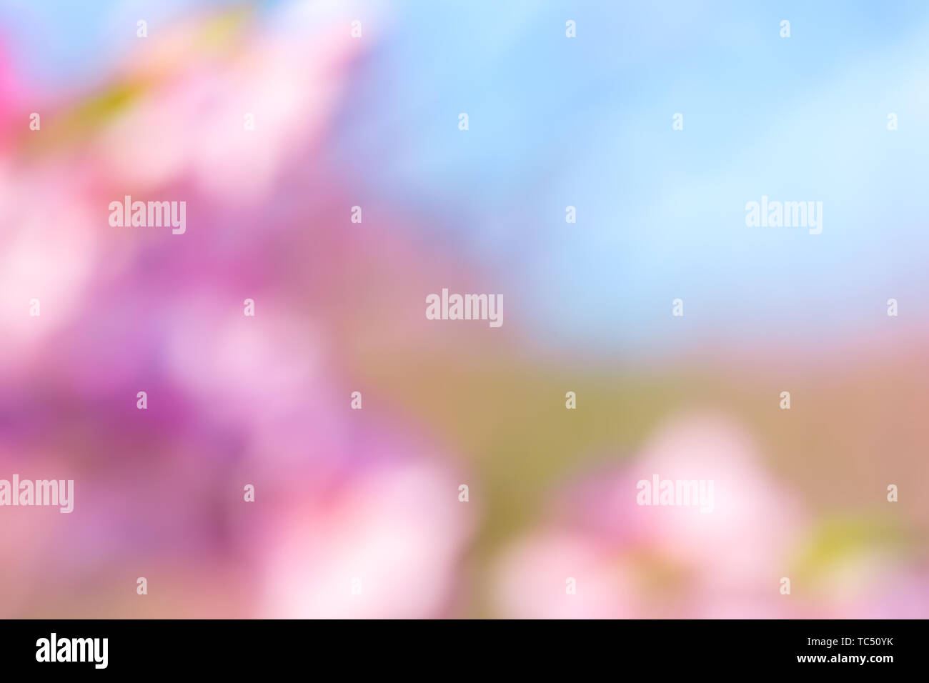 Pink spring background Stock Photo - Alamy