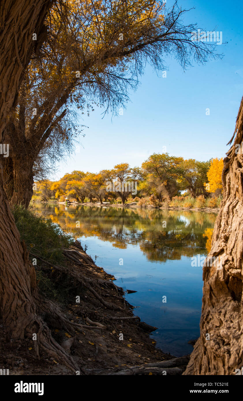 Lin hu hi-res stock photography and images - Alamy