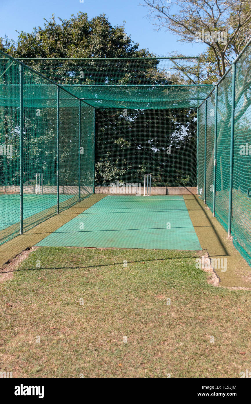 A close up view of a grass practice cricket nets Stock Photo - Alamy