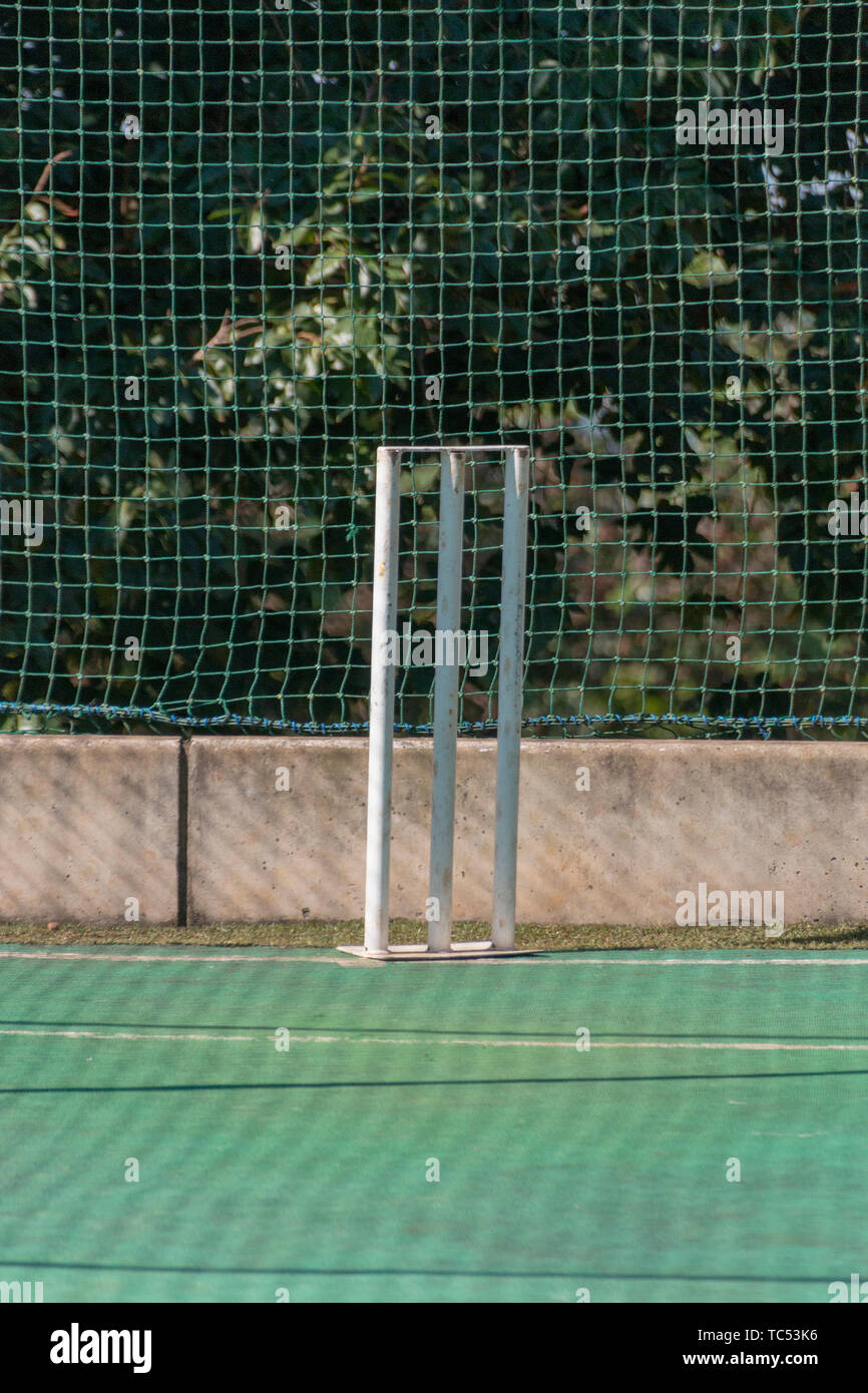 A close up view of a grass practice cricket nets wicket Stock Photo - Alamy