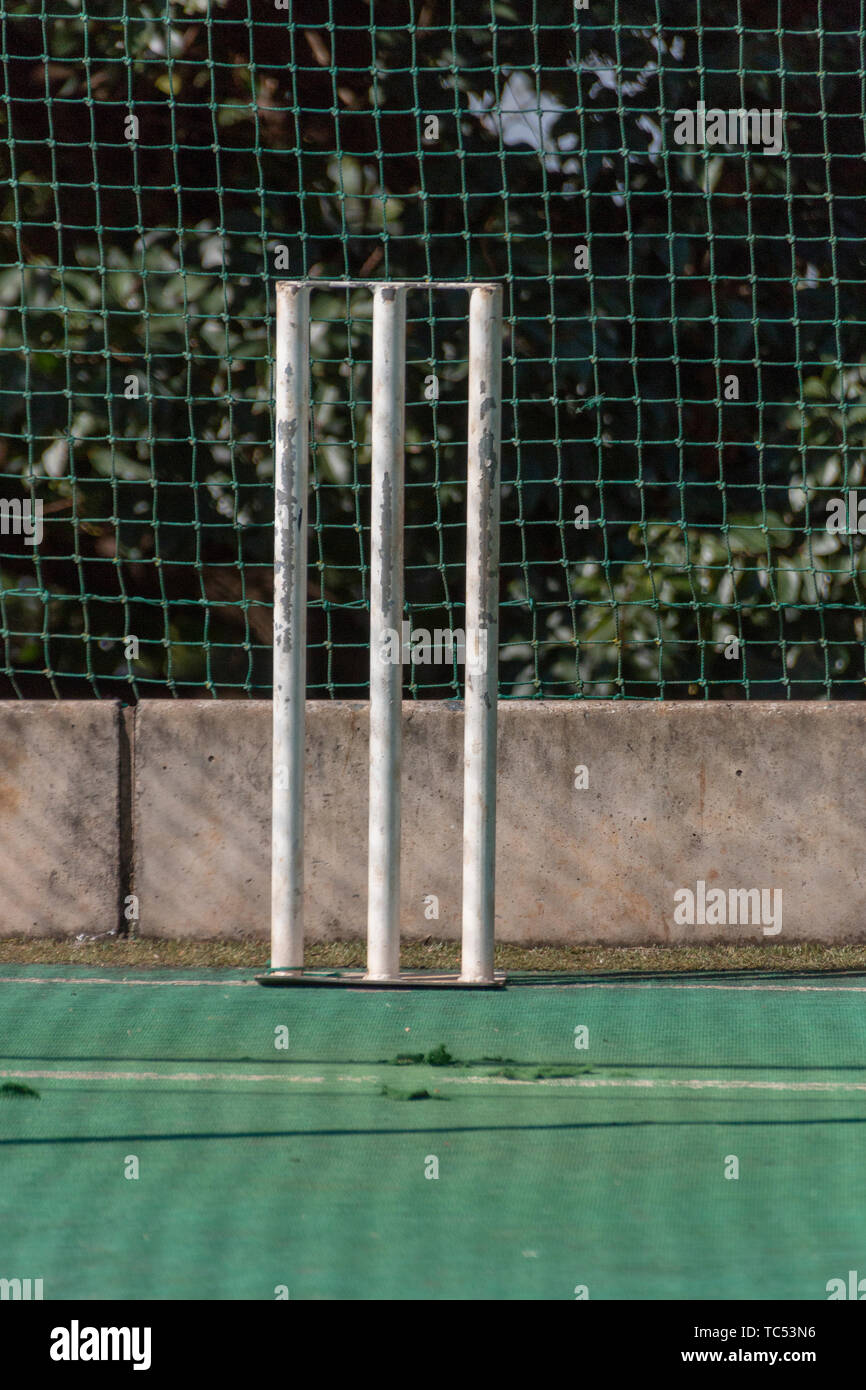 A close up view of a grass practice cricket nets wicket Stock Photo - Alamy