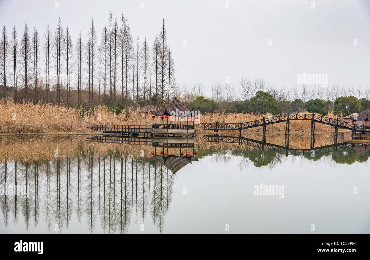 Shajiabang reed scenic spot hi-res stock photography and images - Alamy