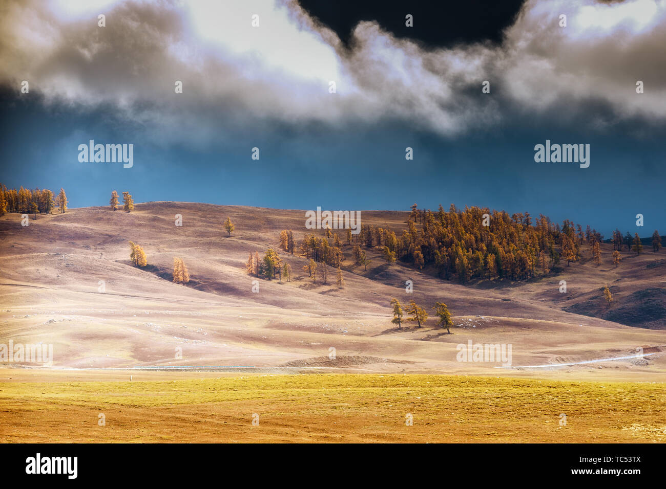 Autumn scenery in northern Xinjiang Stock Photo - Alamy