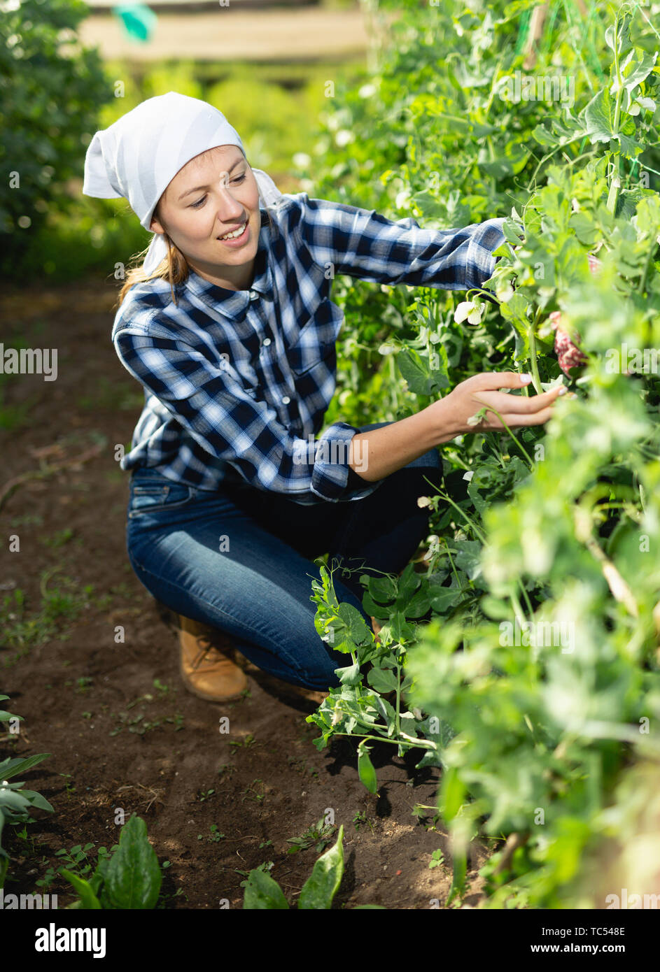 Girl holding green peas hi-res stock photography and images - Alamy