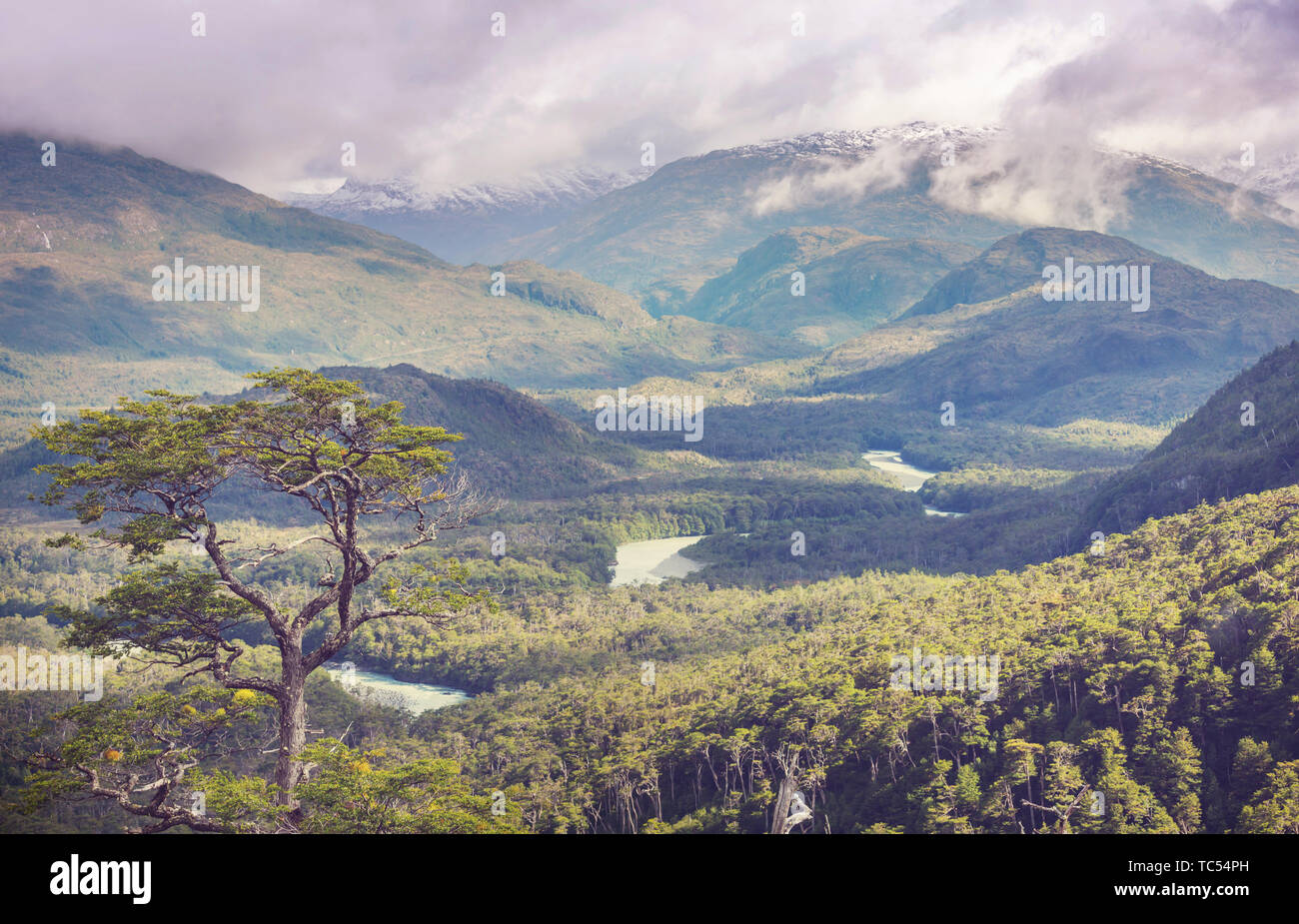 Patagonia landscapes in Southern Argentina Stock Photo - Alamy