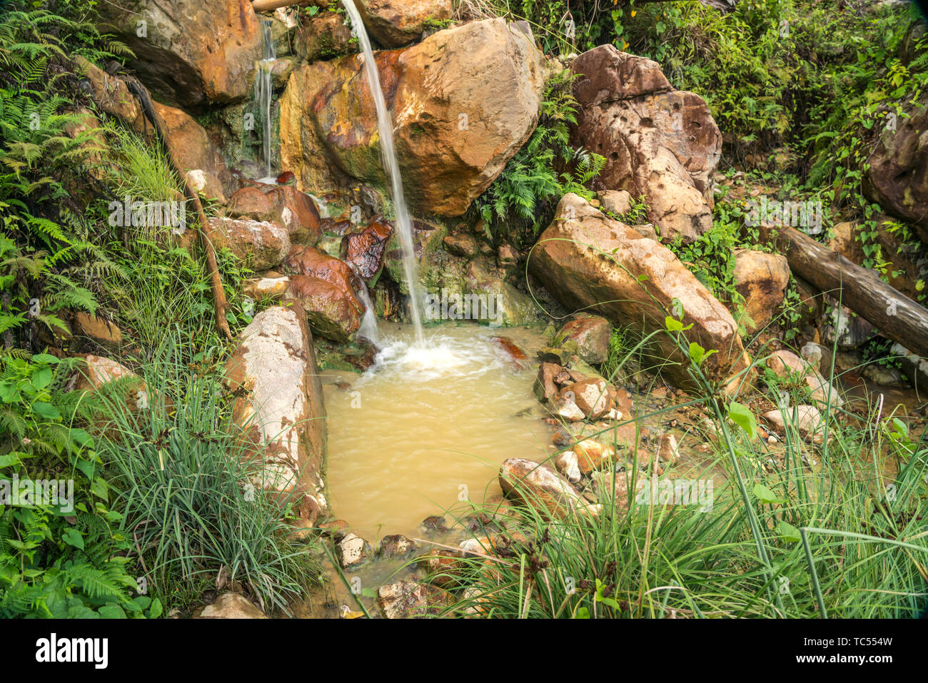 Schwefelquelle Soufriere Sulphur Springs, Soufriere, Dominica, Karibik ...