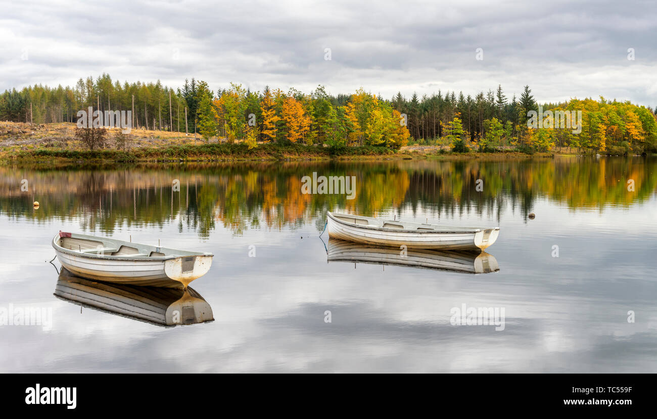 Rusky hi-res stock photography and images - Alamy