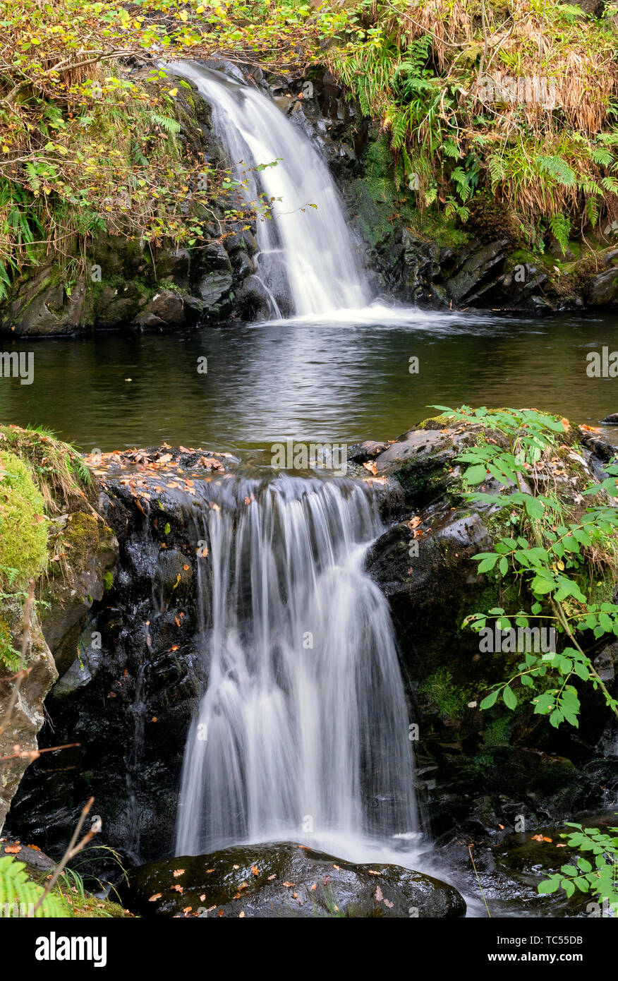 Ledard hi-res stock photography and images - Alamy