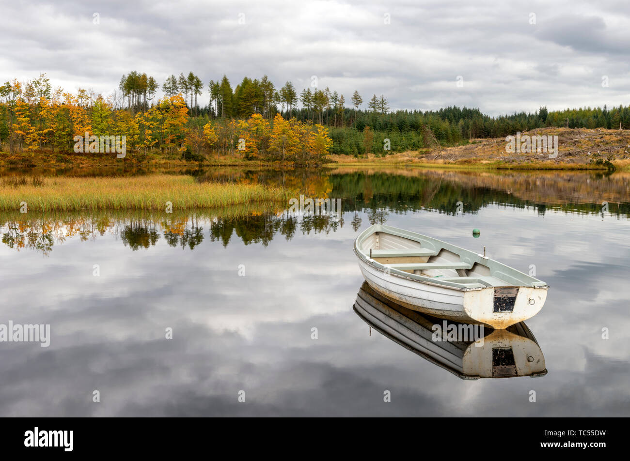 Rusky hi-res stock photography and images - Alamy