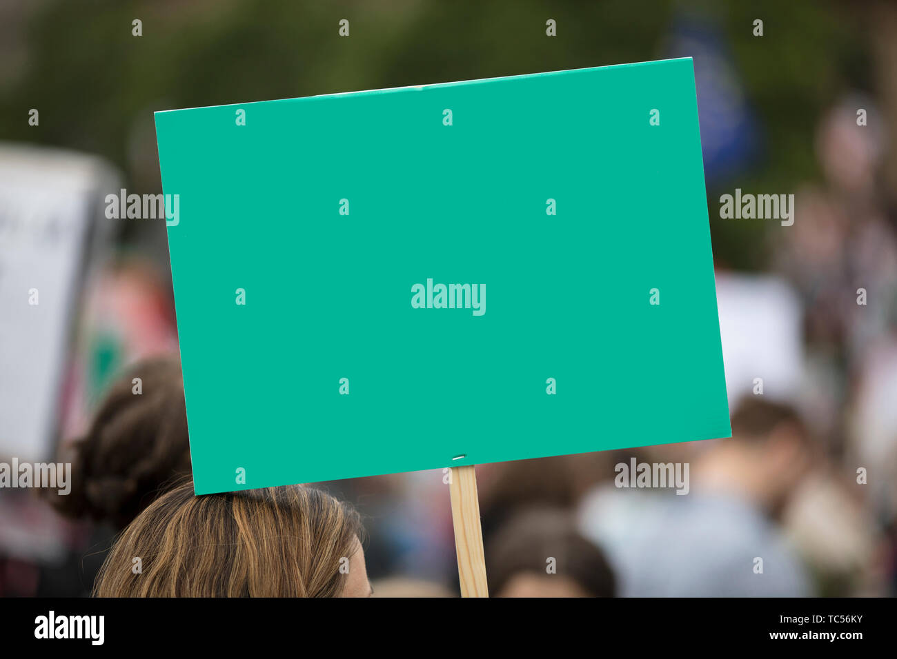 A person holding a blank green protest banner at a political rally ...