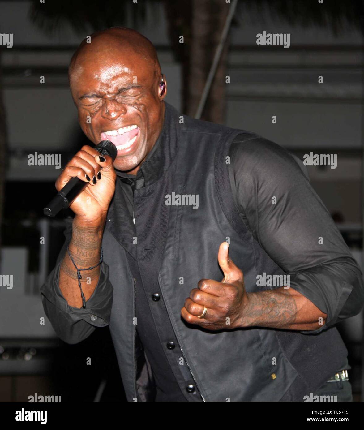 Seal 3-7-2009 Photo By JR Davis/PHOTOlink.net Stock Photo - Alamy