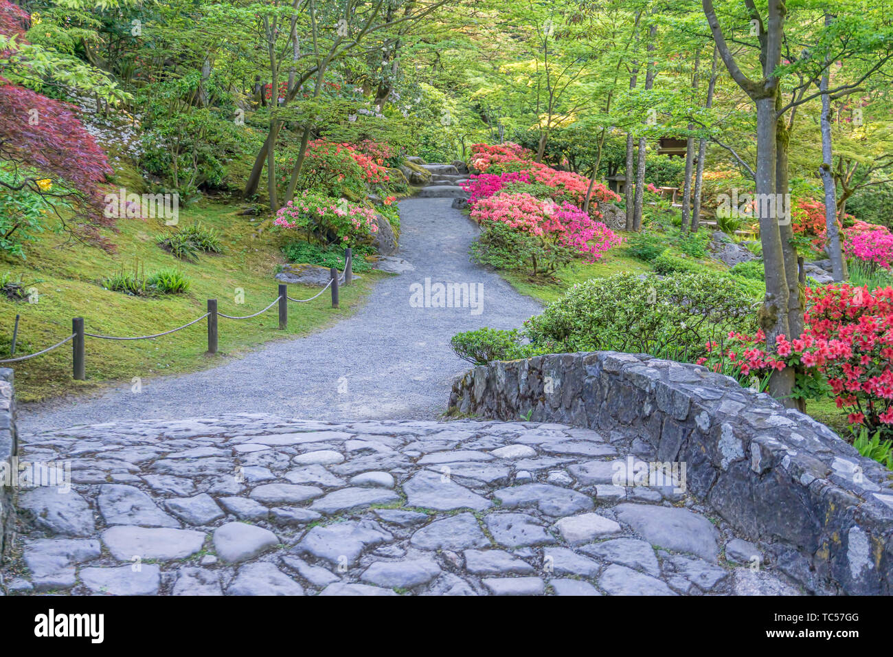 A path goes through a colorful garden in Seattle, Washington Stock ...