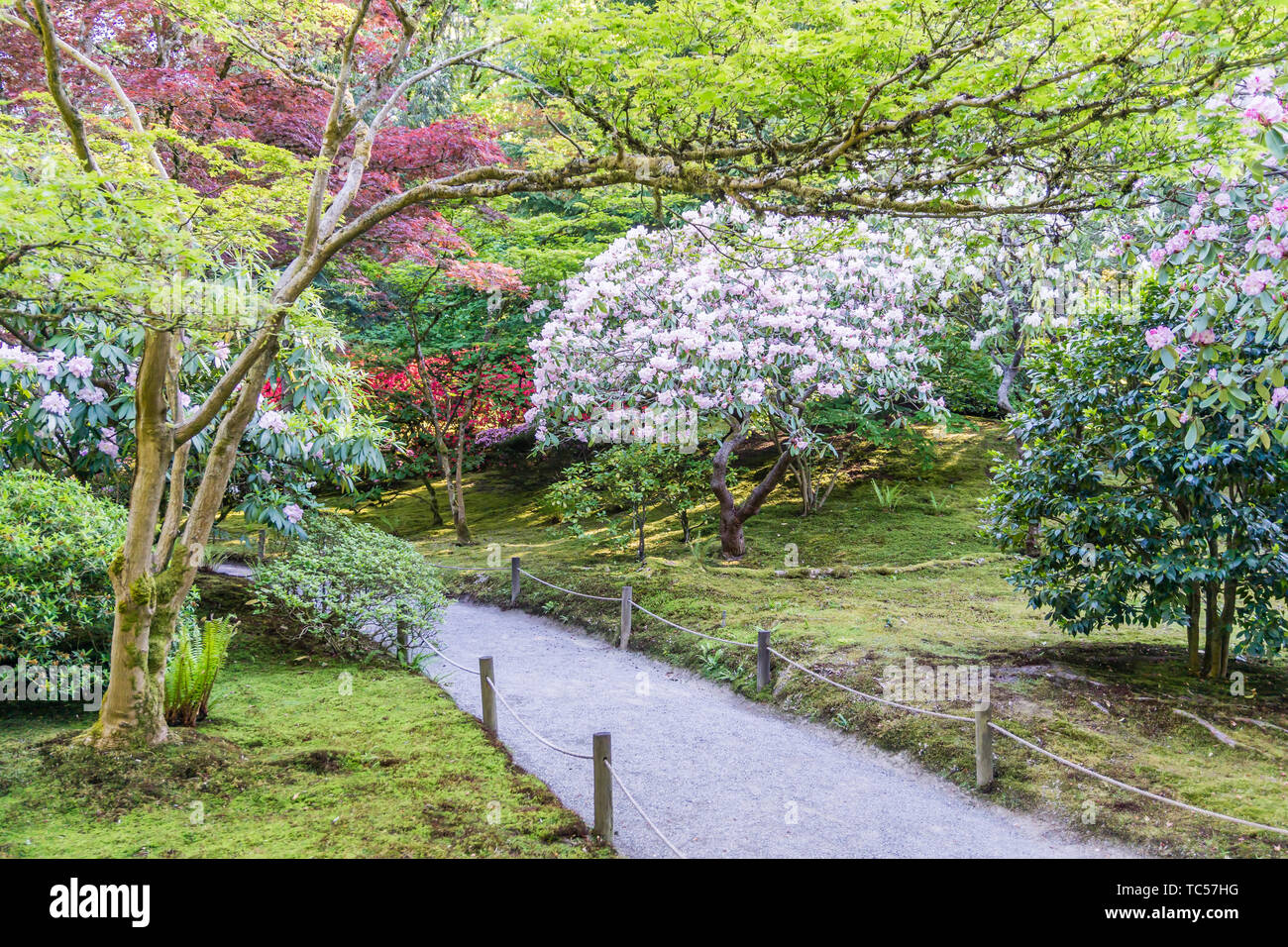 A path goes through a colorful garden in Seattle, Washington Stock ...