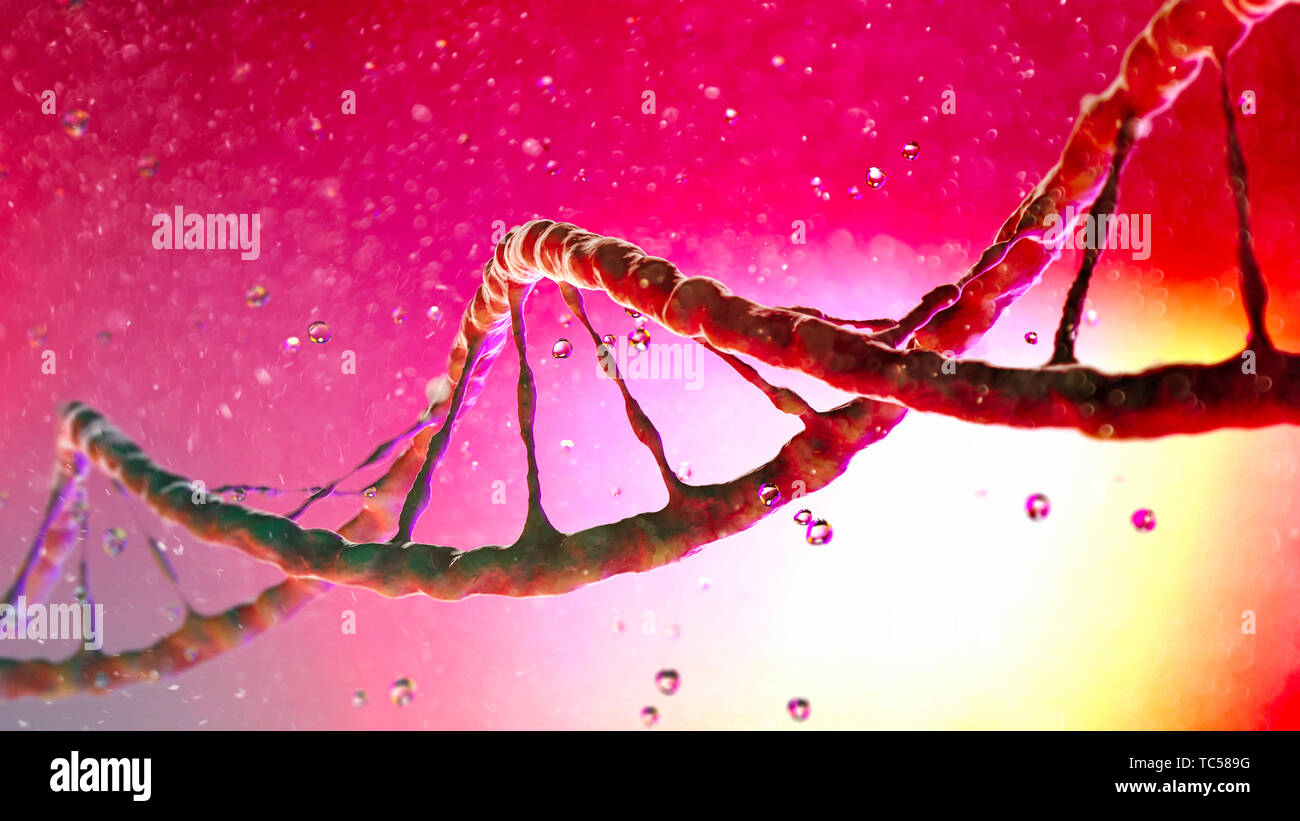 Chromosome structure hi-res stock photography and images - Alamy