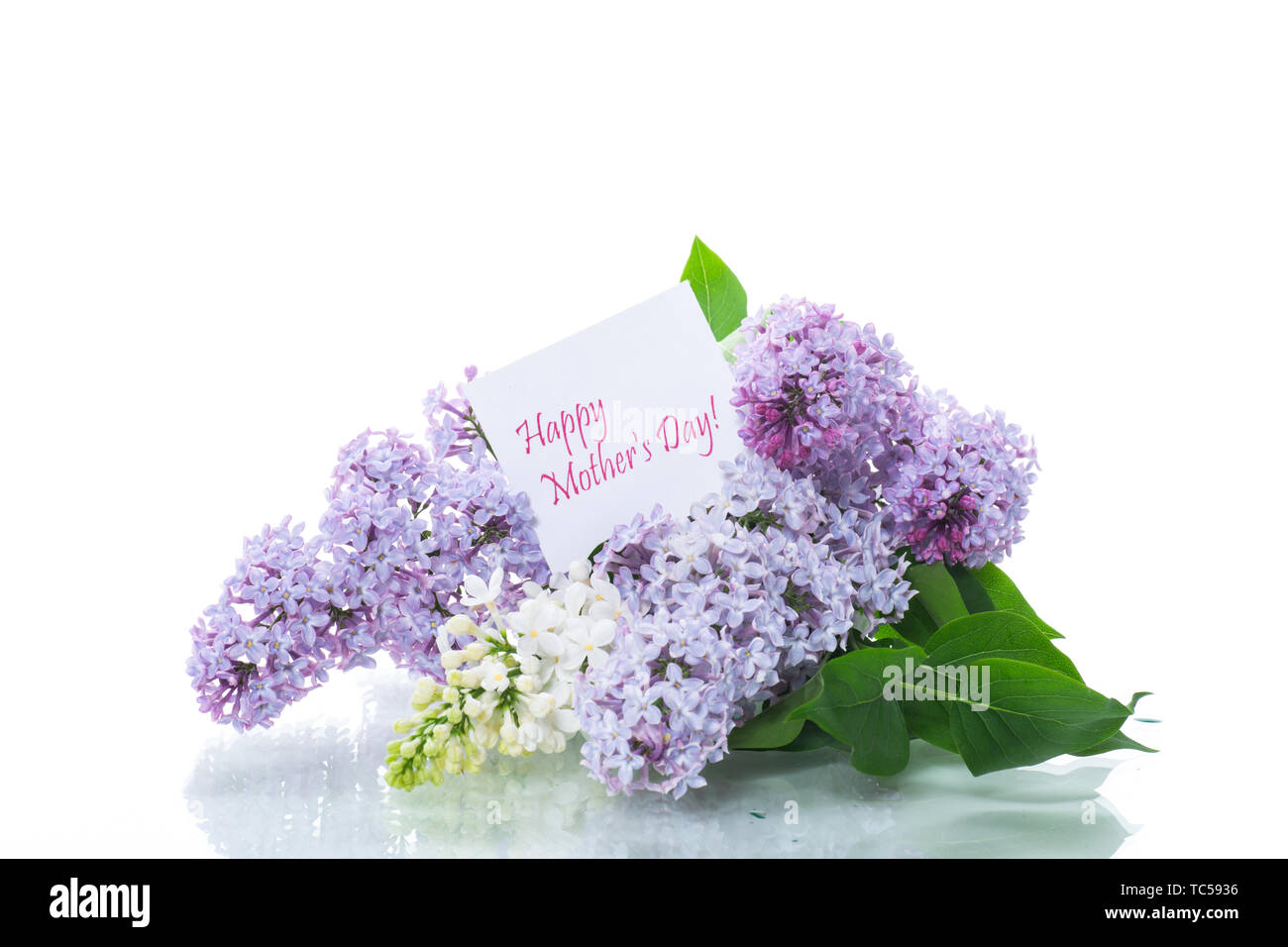 spring blooming bouquet of lilac isolated on white Stock Photo - Alamy