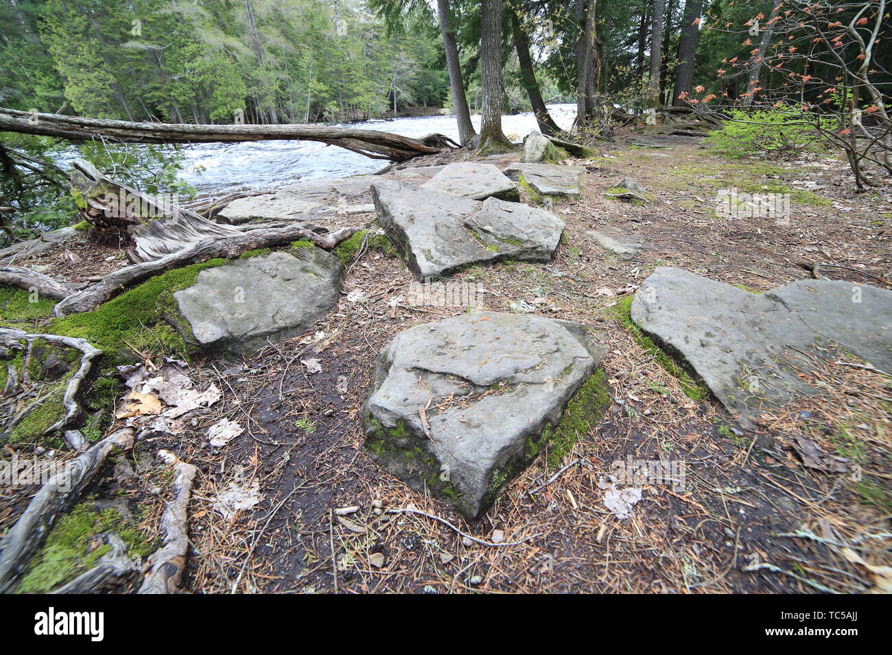 Large rocks in river hi-res stock photography and images - Alamy