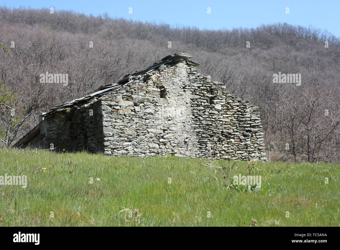 ruin destroyed. an old house built of stones abandoned in a green ...
