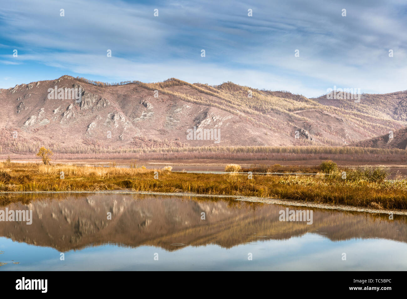 The scenery of Alshan, Inner Mongolia Stock Photo - Alamy